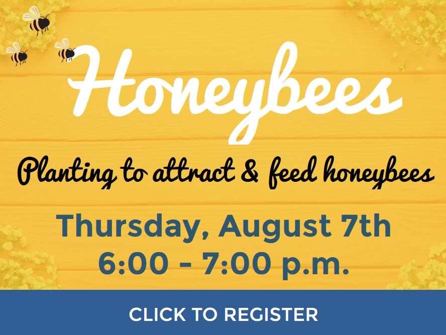 Daniel Pierce Library